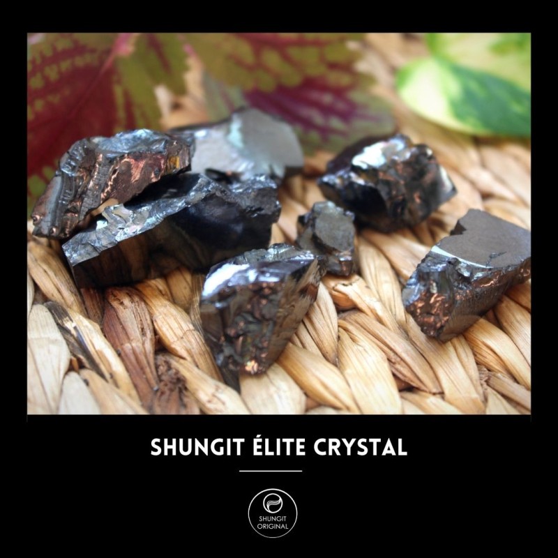 SHUNGIT ÉLITE - WEB OFICIAL DE PATRIZIA JUAREZ